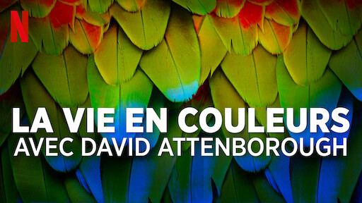 Watch Breaking Boundaries: The Science Of Our Planet | Netflix Official ...