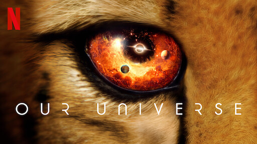 Watch Chimp Empire | Netflix Official Site