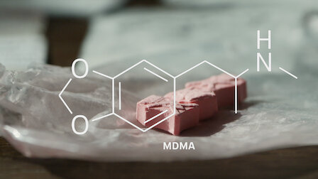 Watch The Business of Drugs | Netflix Official Site