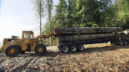 Watch Big Timber | Netflix Official Site