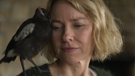 Watch Penguin Bloom | Netflix Official Site