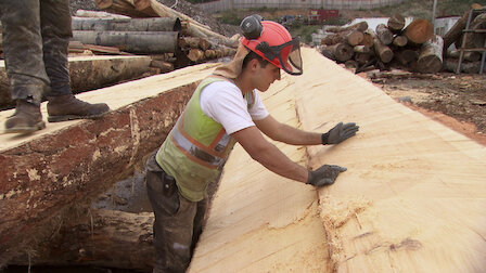Watch Big Timber | Netflix Official Site