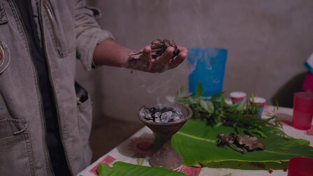 Watch How to Change Your Mind | Netflix Official Site