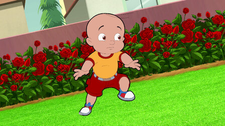 Watch Mighty Raju | Netflix