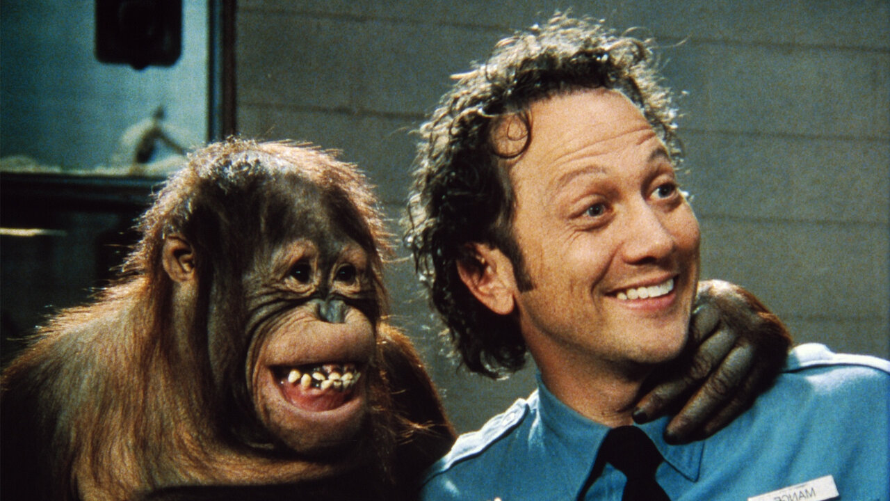 Watch The Animal | Netflix