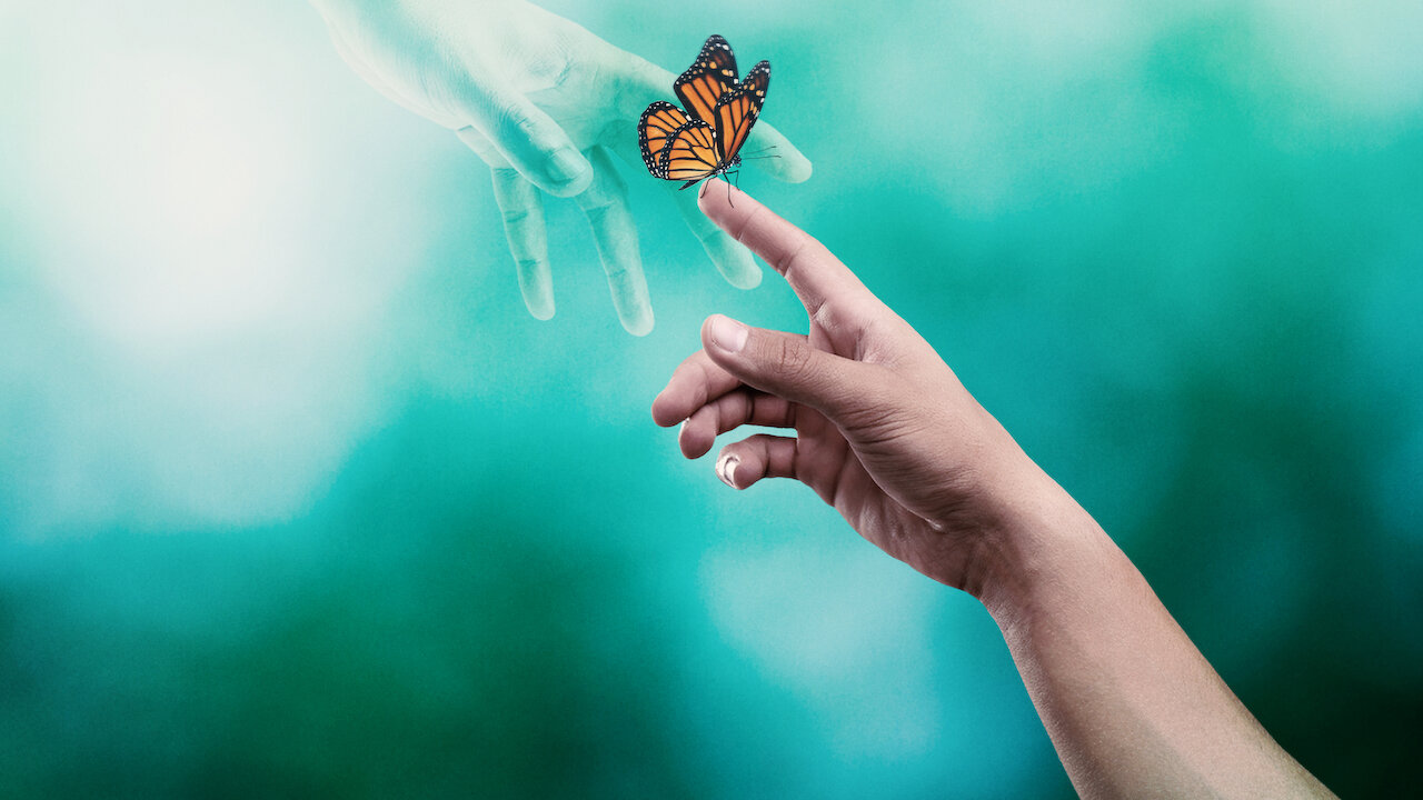 Watch Surviving Death | Netflix Official Site