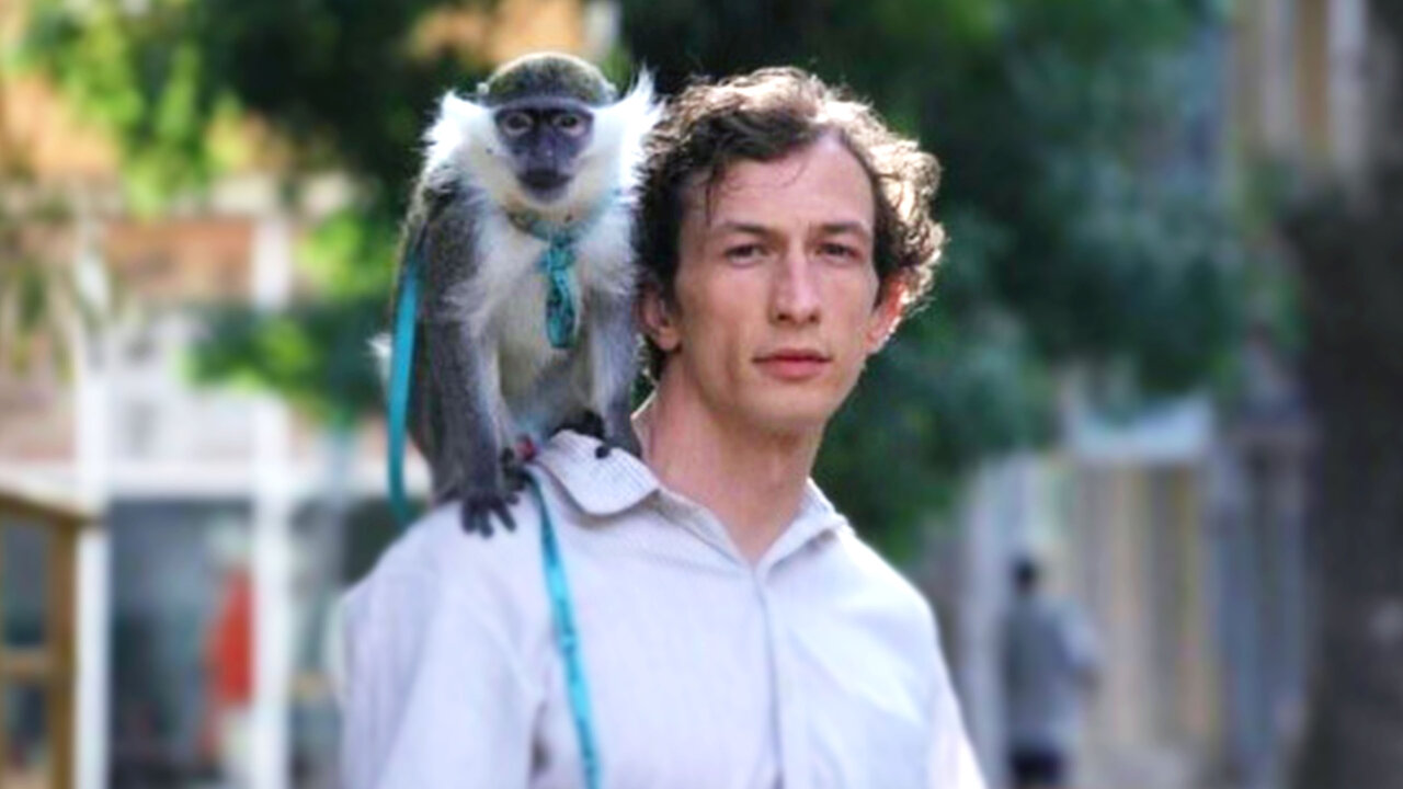 Watch Monkey | Netflix