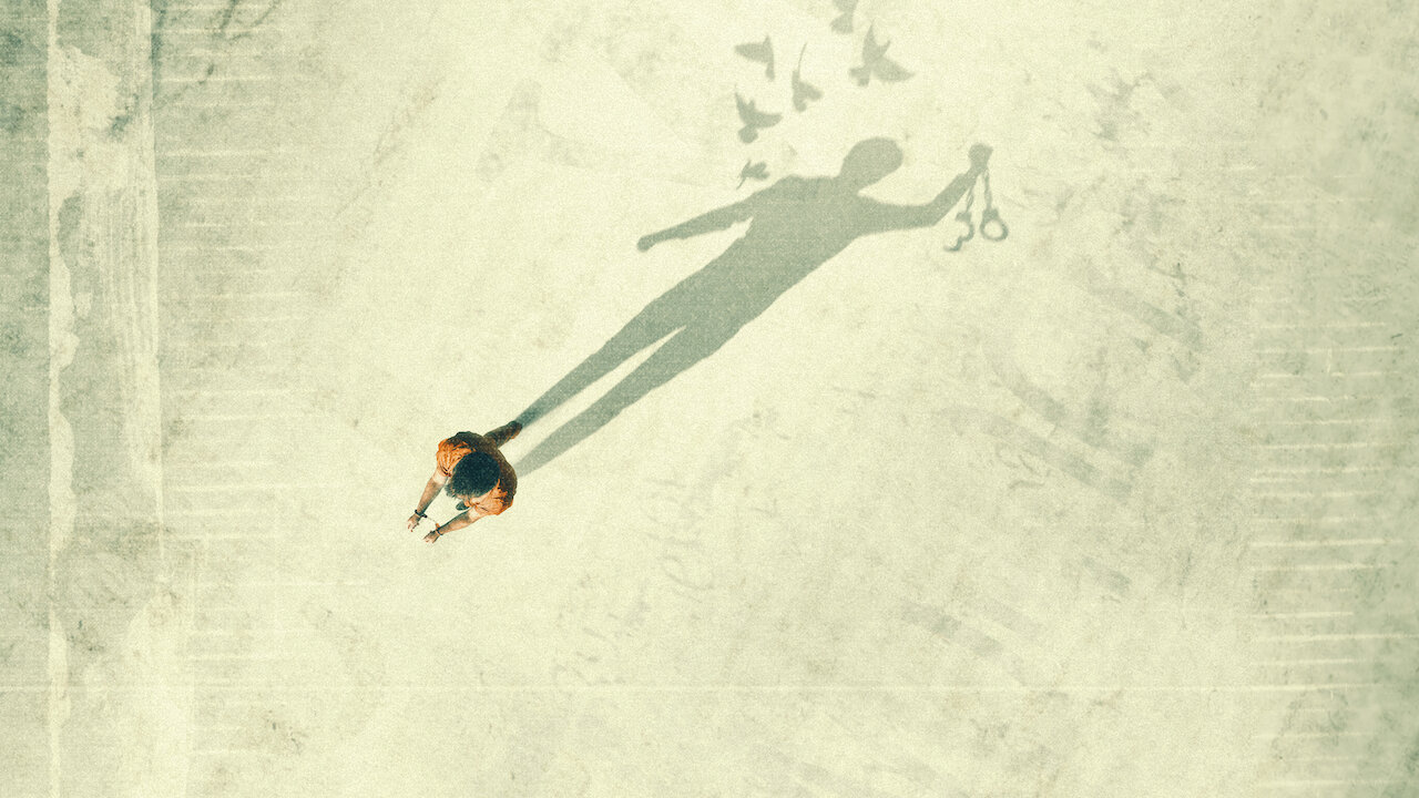 Proyecto Inocencia | Sitio oficial de Netflix