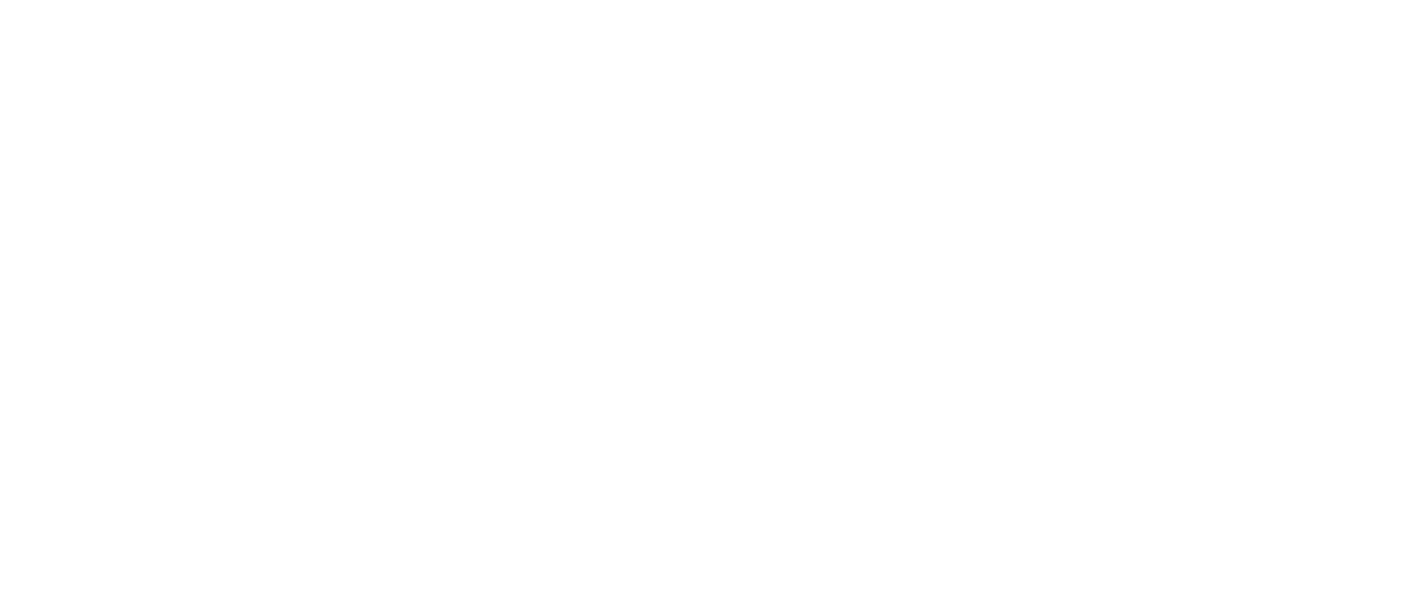 Watch The 9th Precinct | Netflix