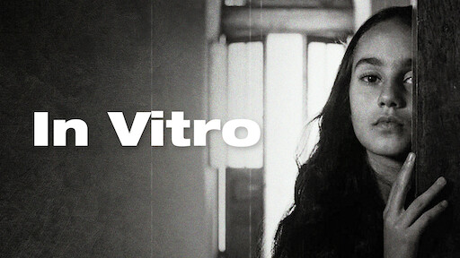 Watch The Trader (Sovdagari) | Netflix Official Site